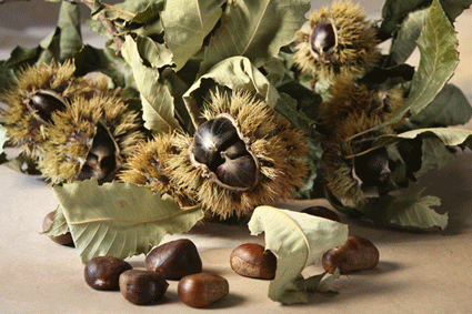 Perdiz Flamejada com Castanhas :: hobbydojorge